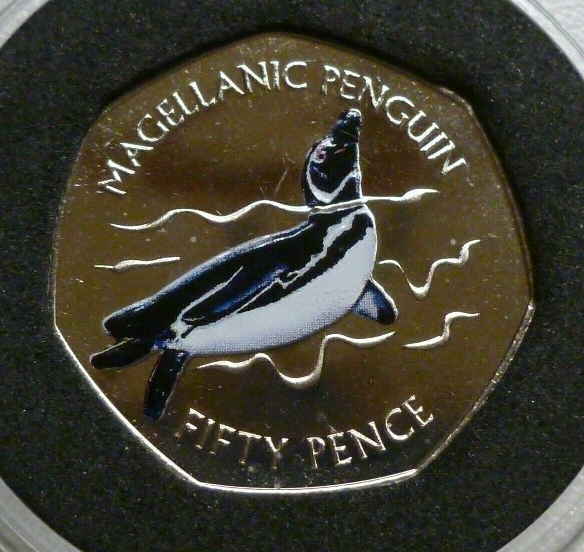 2017 FALKLAND ISLANDS 50p Pence Magellanic Penguin Coloured Coin ...